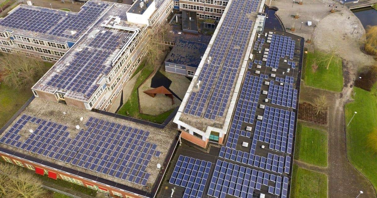 Primary Education Energy Solutions | EnergyLink