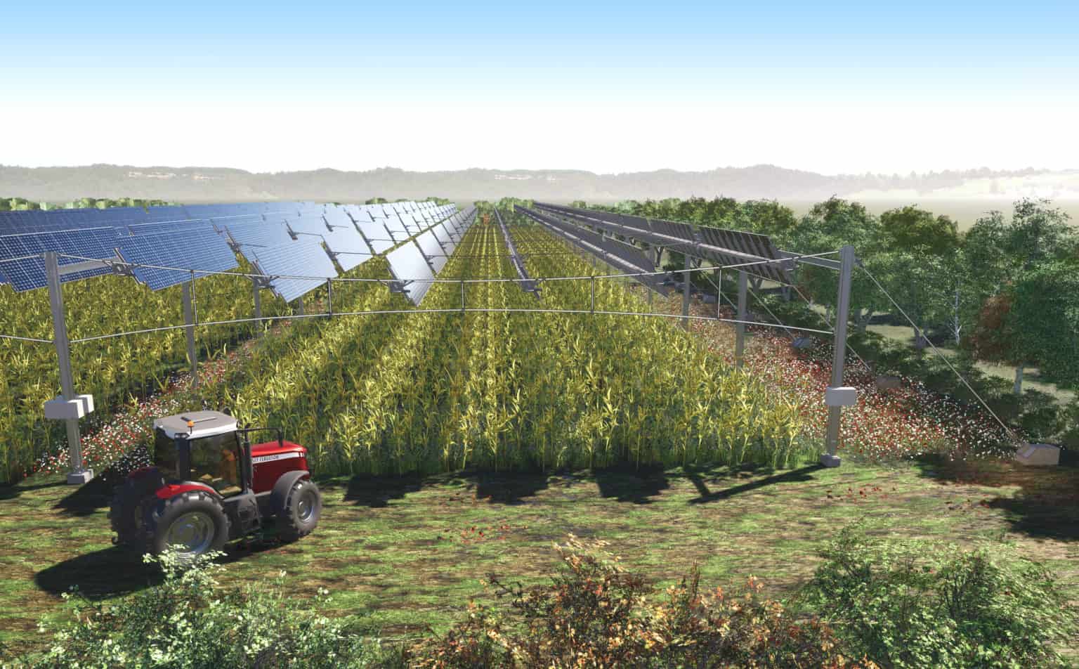 3 Successful Agrivoltaics Applications Across the Globe | EnergyLink